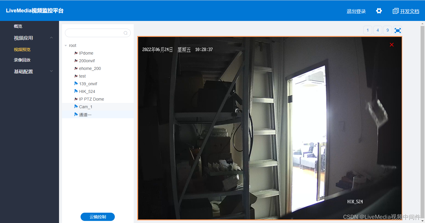 LiveMedia视频中间件接入RTSP设备-CSDN博客