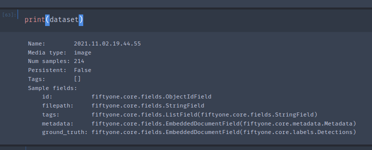 Fiftyone 可视化-CSDN博客