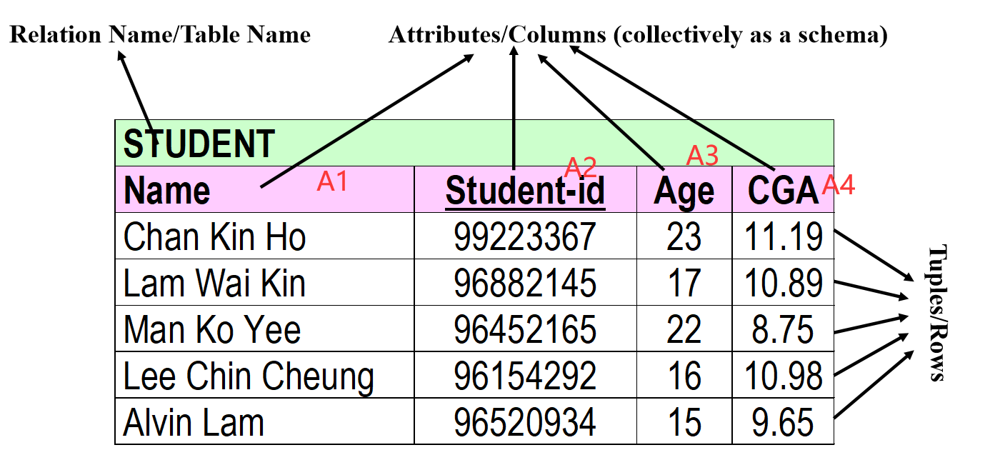【纯复习用】数据库复习（3）Relational Model-CSDN博客