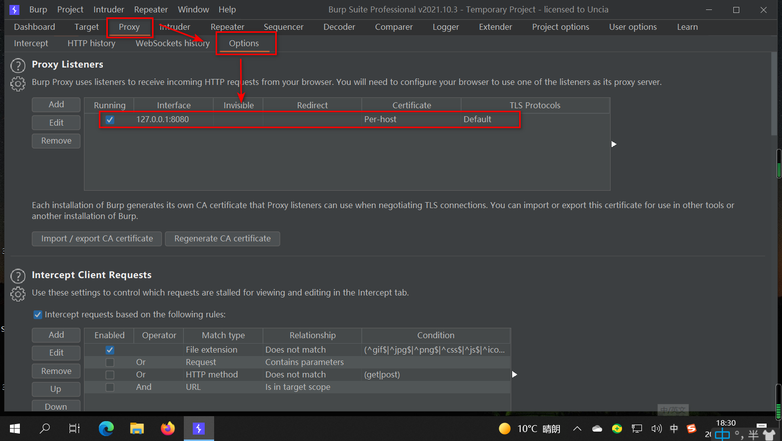 Burp Suite代理和火狐浏览器的设置(超详细)_burpsuite firefox-CSDN博客