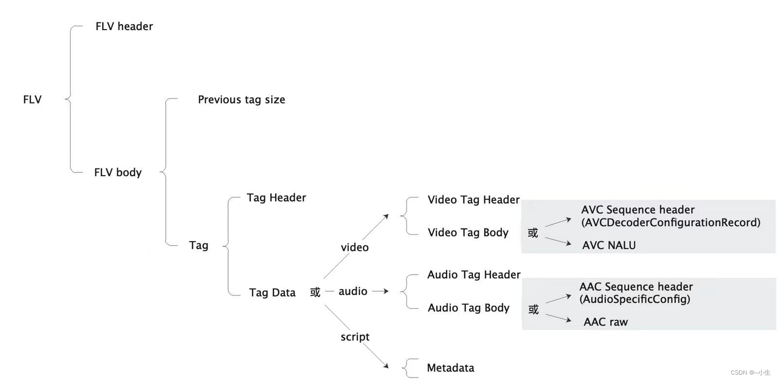 FLV格式详解-CSDN博客