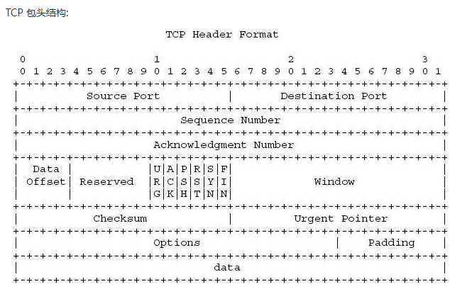 RTP理解-CSDN博客