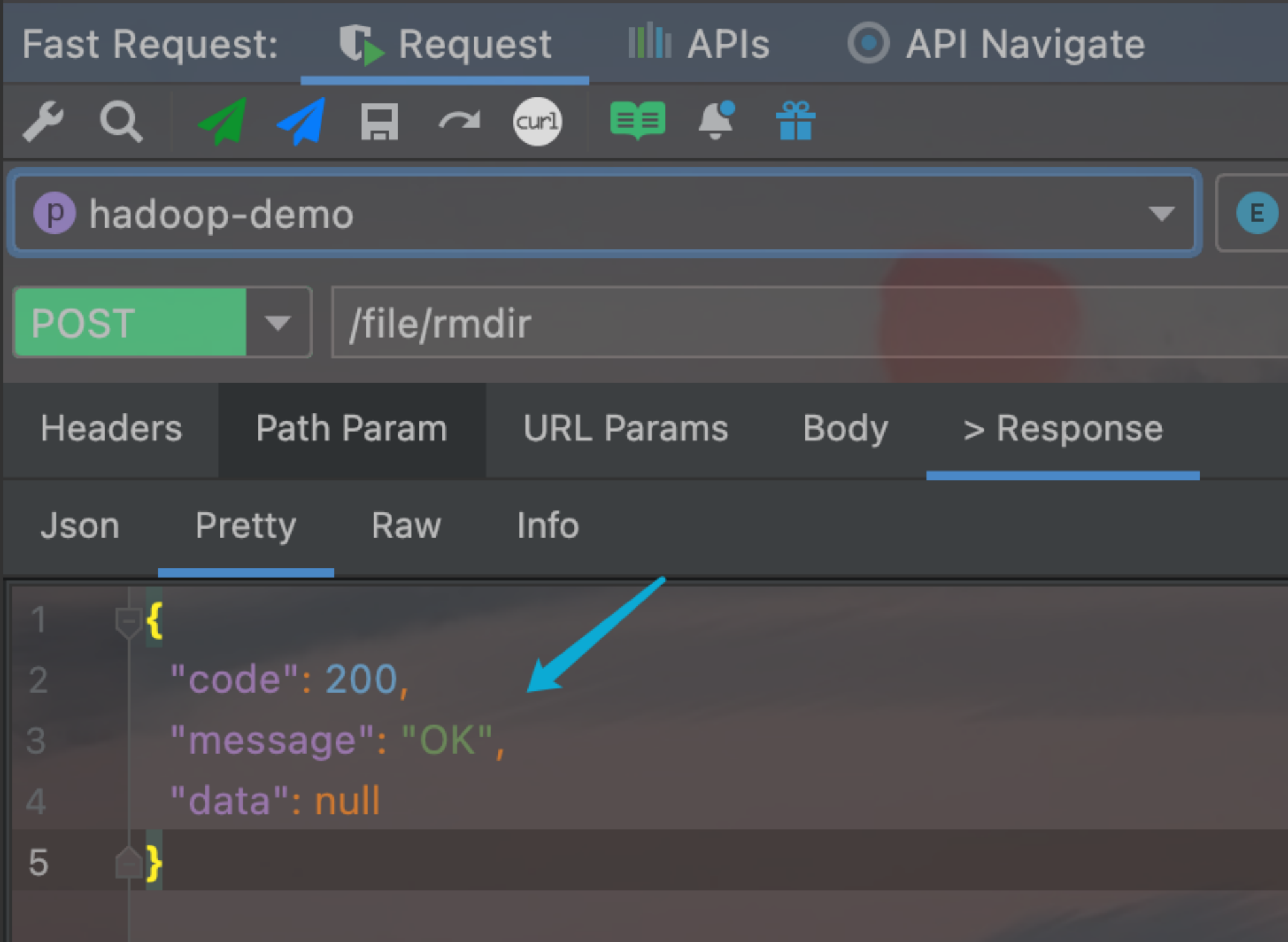 Idea使用Fast Request接口调试_restful fast request上传文件-CSDN博客