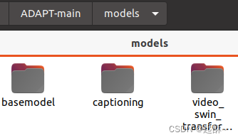 ADAPT: Action-aware Driving Caption Transformer（模型训练+推理）_adapt action ...