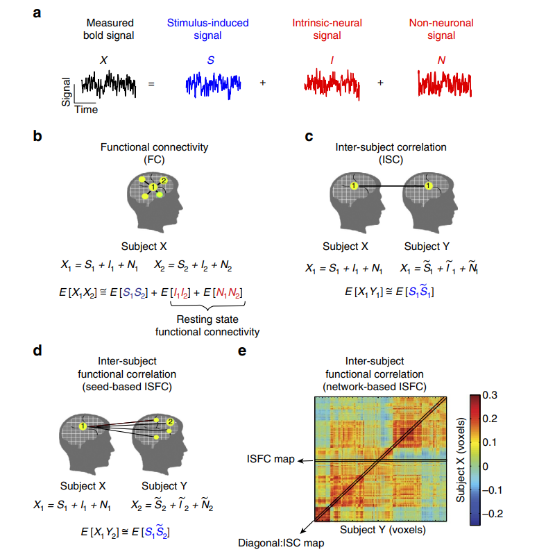 认知神经科学简介_intersubject correlation analysis (isc)-CSDN博客