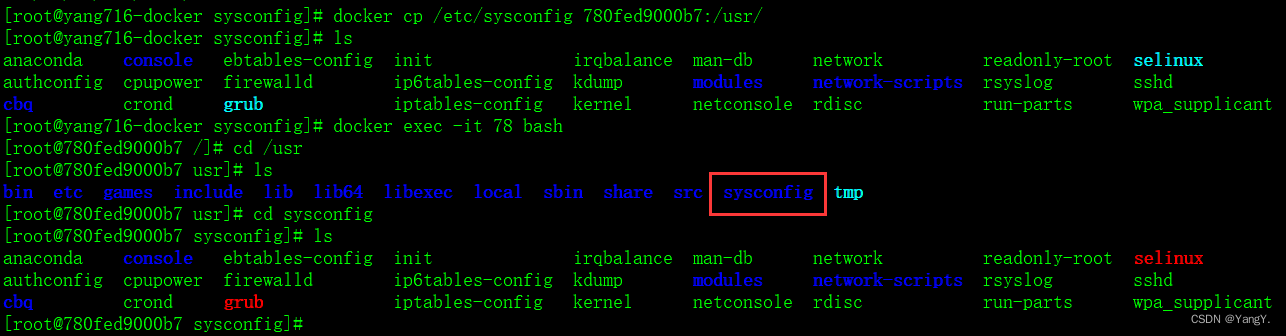 Docker cp命令语法_docker cp重命名-CSDN博客