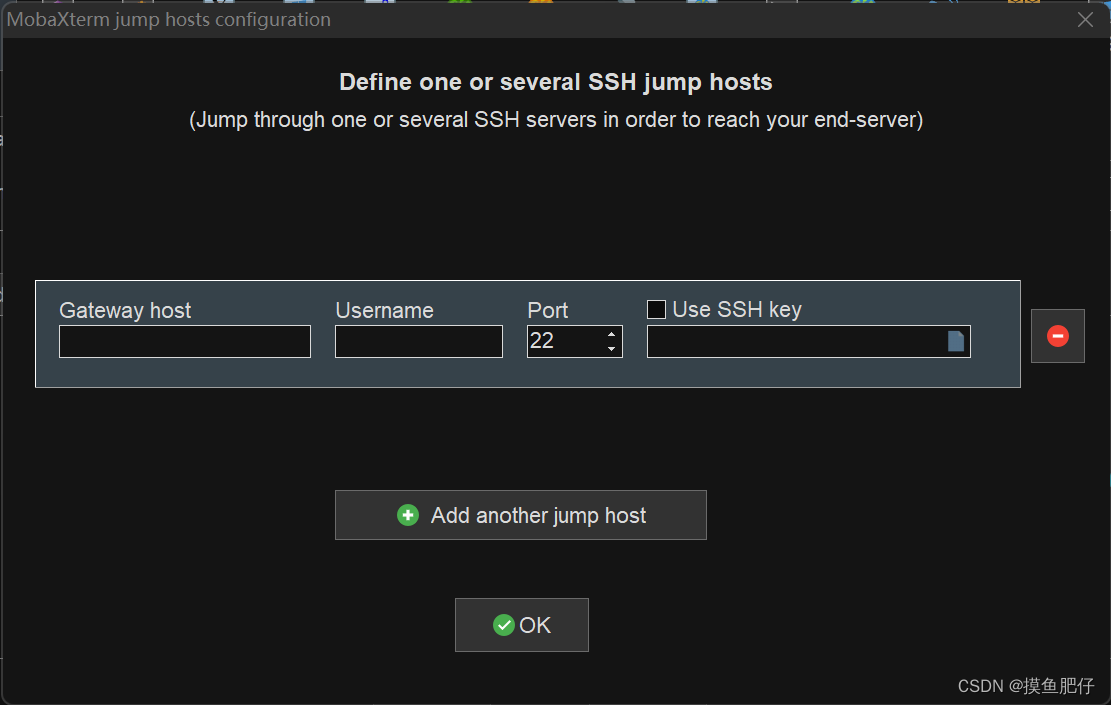 vscode+mobaxterm实现服务器图形显示_vscode mobaxterm-CSDN博客