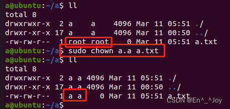 linux操作系统基础（含C编译，make编译，shell脚本）_cmake编译与shell脚本编译-CSDN博客