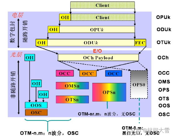 OTN光传送网（Optical Transport Network）&什么是OTN-CSDN博客