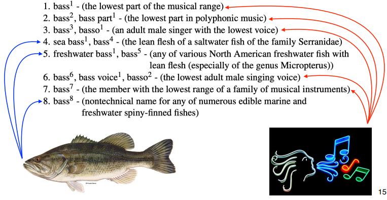 【NLP基础理论】 08 词汇语义学 Lexical Semantics_nlp lexical-CSDN博客