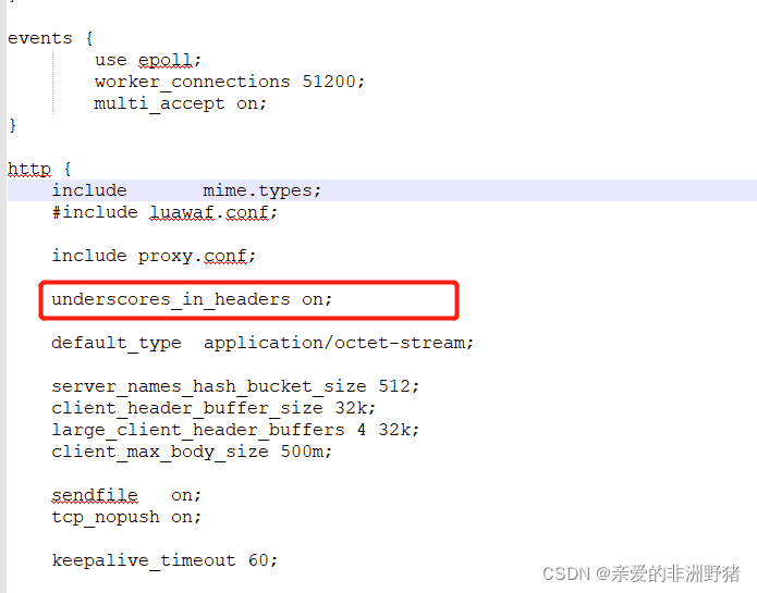 Nginx转发自定义请求头配置 Csdn博客
