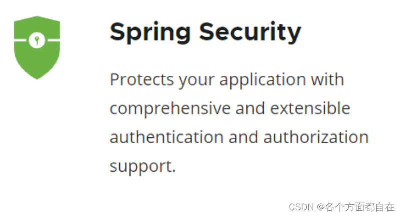 Java：76-SpringSecurity介绍_java springsecurity-CSDN博客