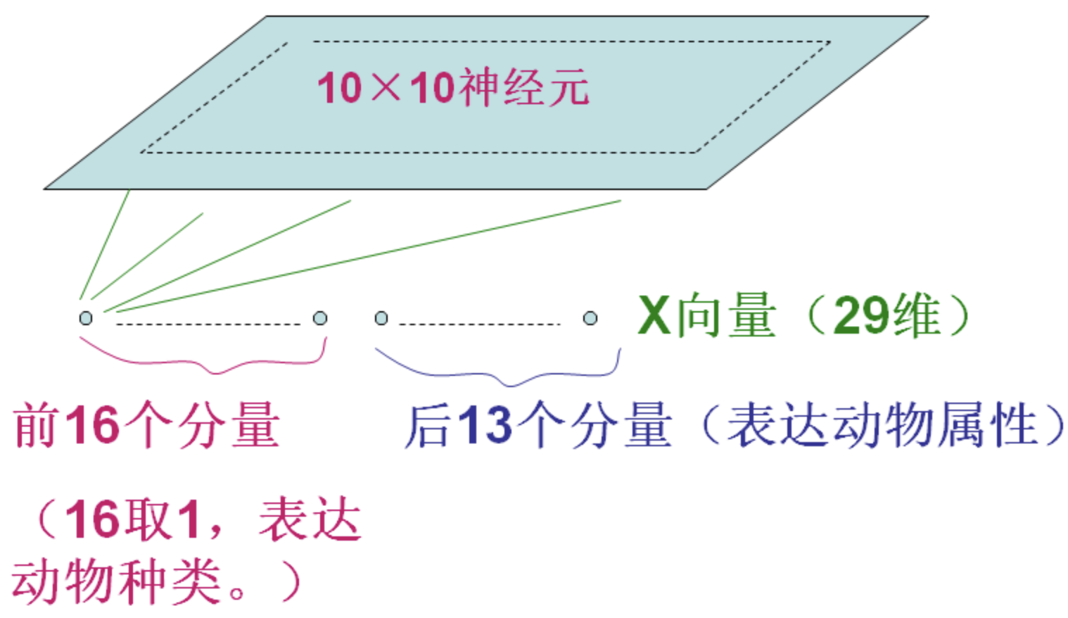 自组织映射神经网络（SOM）-CSDN博客