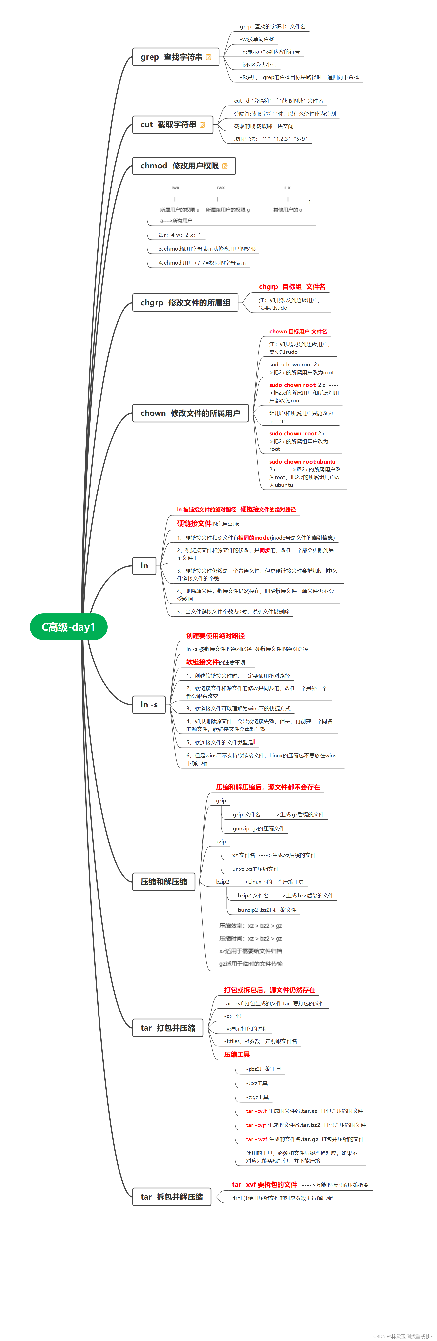 C高级--day1-CSDN博客