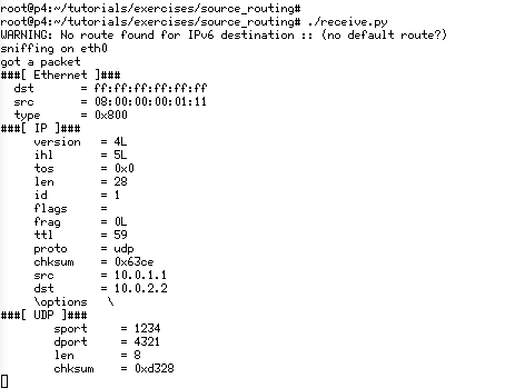 P4 Tutorials---- source routing-CSDN博客