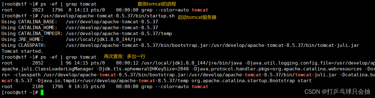 Linux系统监控（top,ps,netstat,kill命令），定时任务，系统启动（系统的启动级别），系统服务（防火墙关闭开机自启）_linux ps netsat-CSDN博客