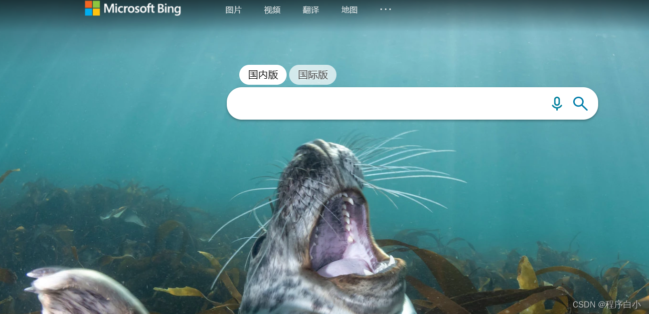 New Bing 解决没有聊天窗口_bing chat 怎么启用 没有聊天窗口-CSDN博客