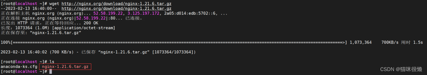 VMware虚拟机安装Nginx详细步骤_vmware workstation pro主机安装nginx-CSDN博客