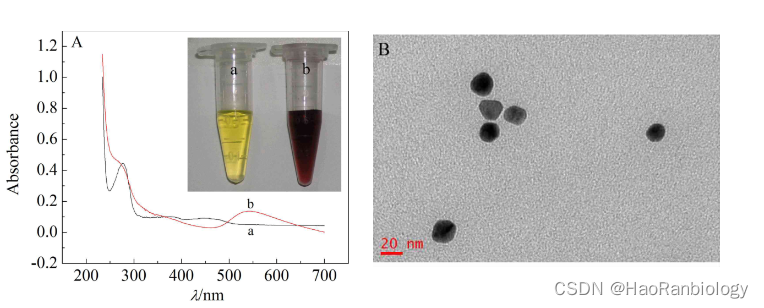粒径20nm的金纳米粒Nafion-GOx-AuNPs对十二烷醇/葡萄糖氧化酶的标记过程_葡萄糖氧化酶的紫外吸收峰在哪-CSDN博客