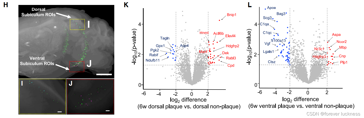 3D完整空间蛋白组学_空间蛋白组学文章_forever luckness 的博客-CSDN博客