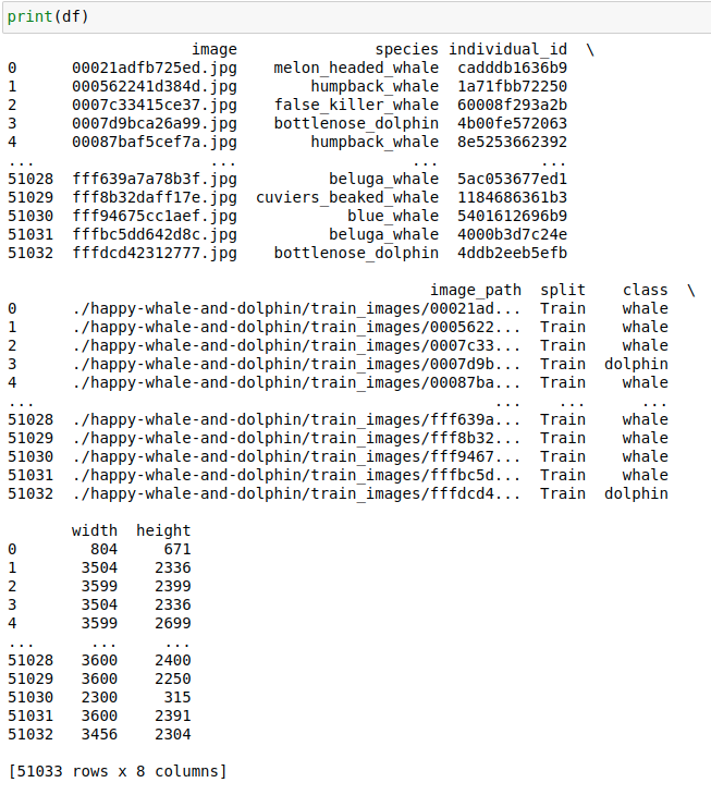 [pytorch] Kaggle大型图像数据集 数据分析+可视化_kangle数据集-CSDN博客