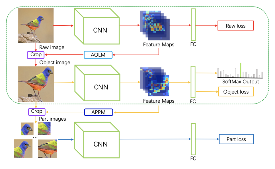 20-CVPR-Multi-branch and Multi-scale Attention Learning for Fine-Grained Visual Categorization ...