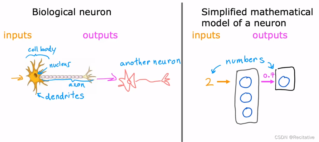 Neural Networks & Forward Inference_forward prop-CSDN博客