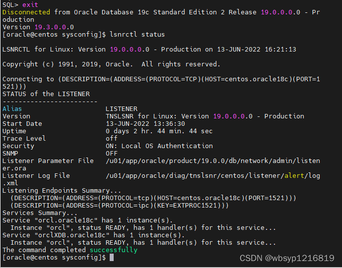oracle 19c安装实操_oracle19c环境变量设置_wbsyp1216819的博客-CSDN博客