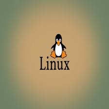 在linux上创建虚拟CAN，并简单执行一个CAN的读写程序_linux vcan-CSDN博客