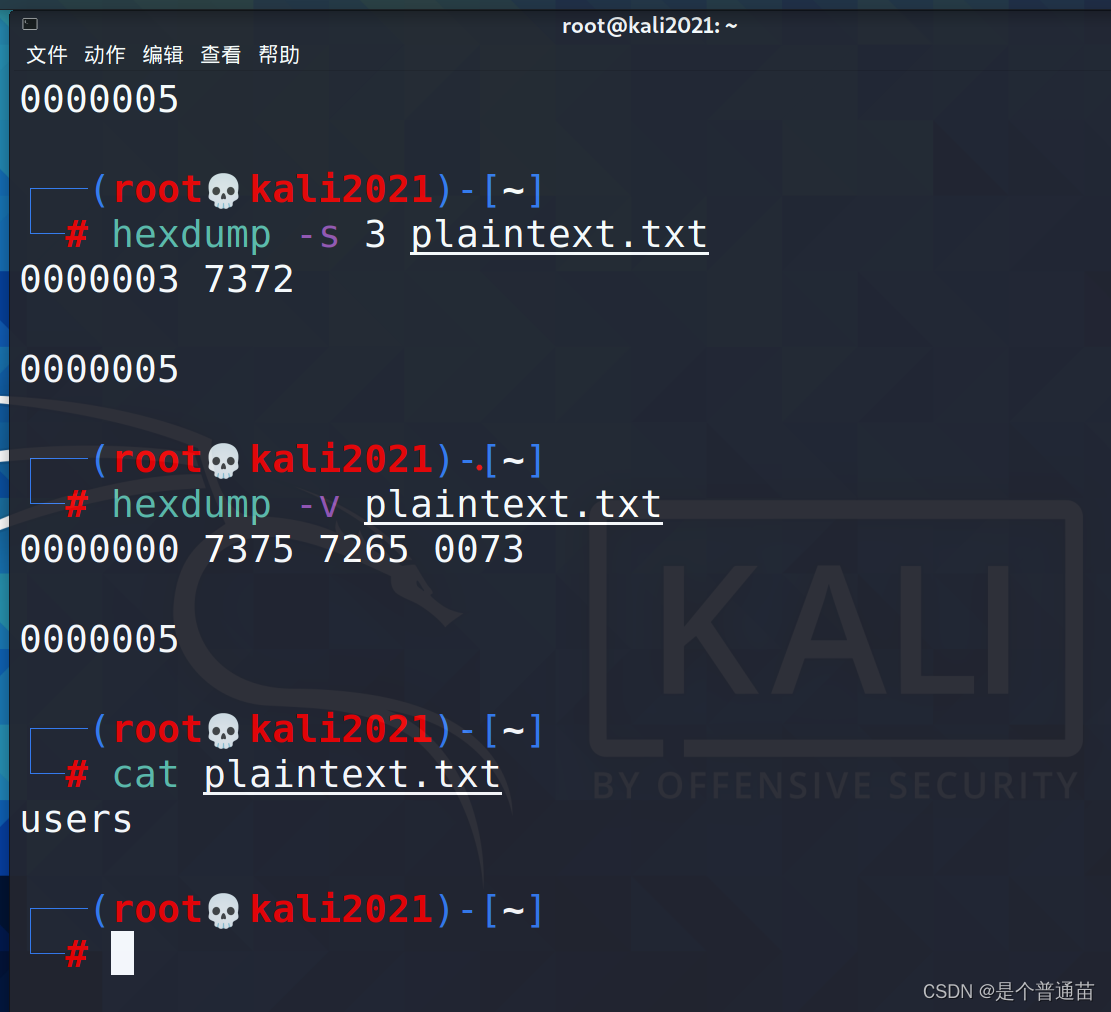 kali Linux使用命令进行16编码、使用hexdump命令查看各类文件_kali xxd-CSDN博客