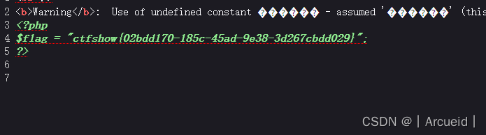 ctfshow萌新计划类web全解 wp_萌新web23-CSDN博客