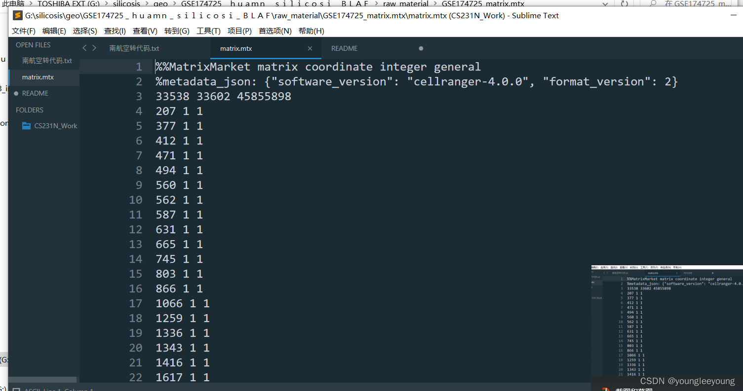 字符串的字符格式会让程序报错_error in readmm(file = matrix.loc) : file is not a-CSDN博客