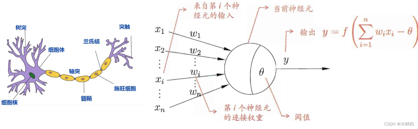 第1周学习笔记：深度学习和pytorch基础_pytorch dbn-CSDN博客