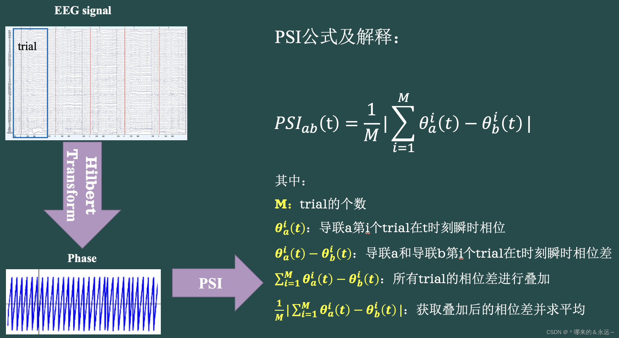 相位同步指数 （phase synchronization index，PSI）_相位同步算法-CSDN博客