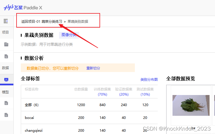 PaddleX入门教程1：利用PaddleX图形化工具进行训练_paddlex1.0模型转换-CSDN博客
