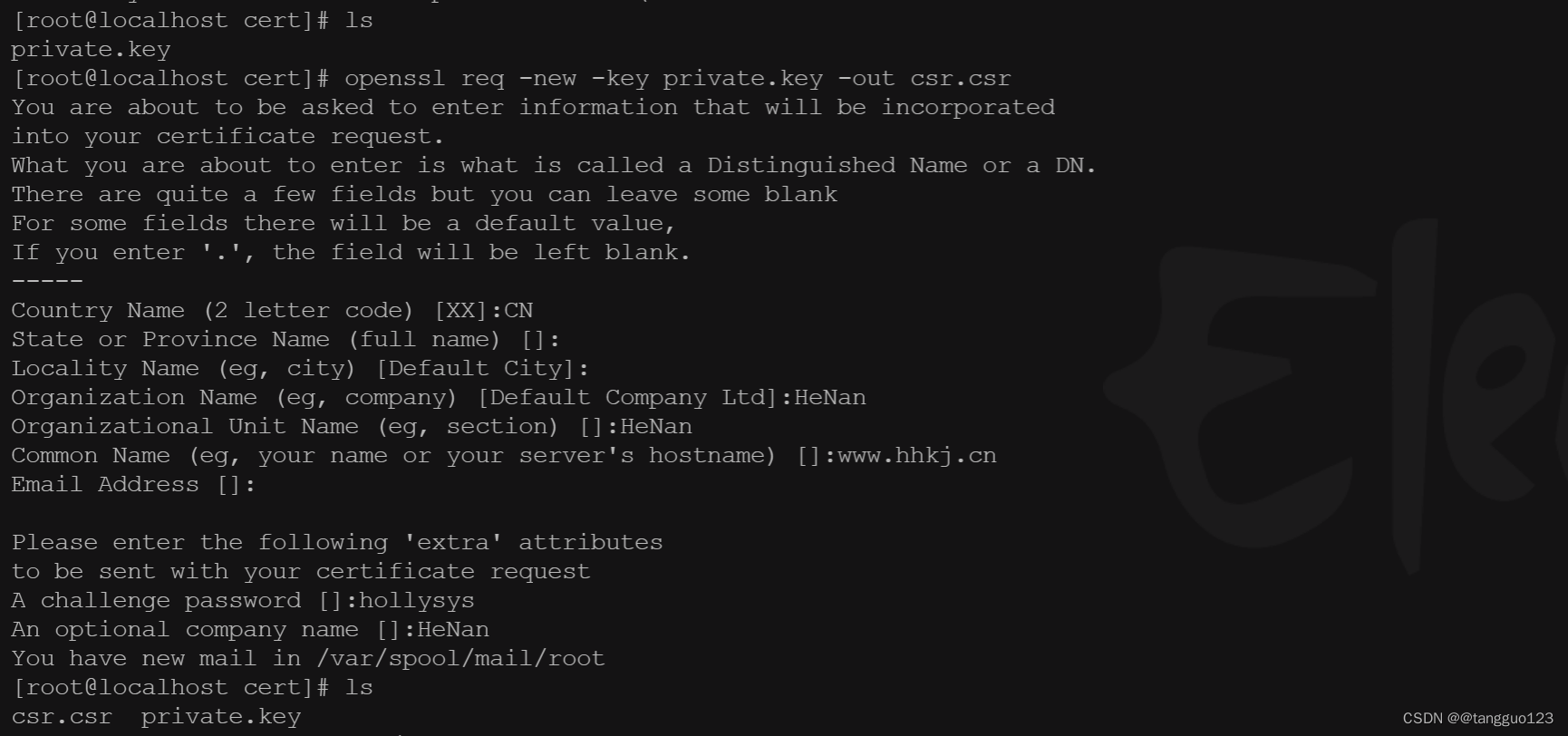 OpenSSL OpenSSL