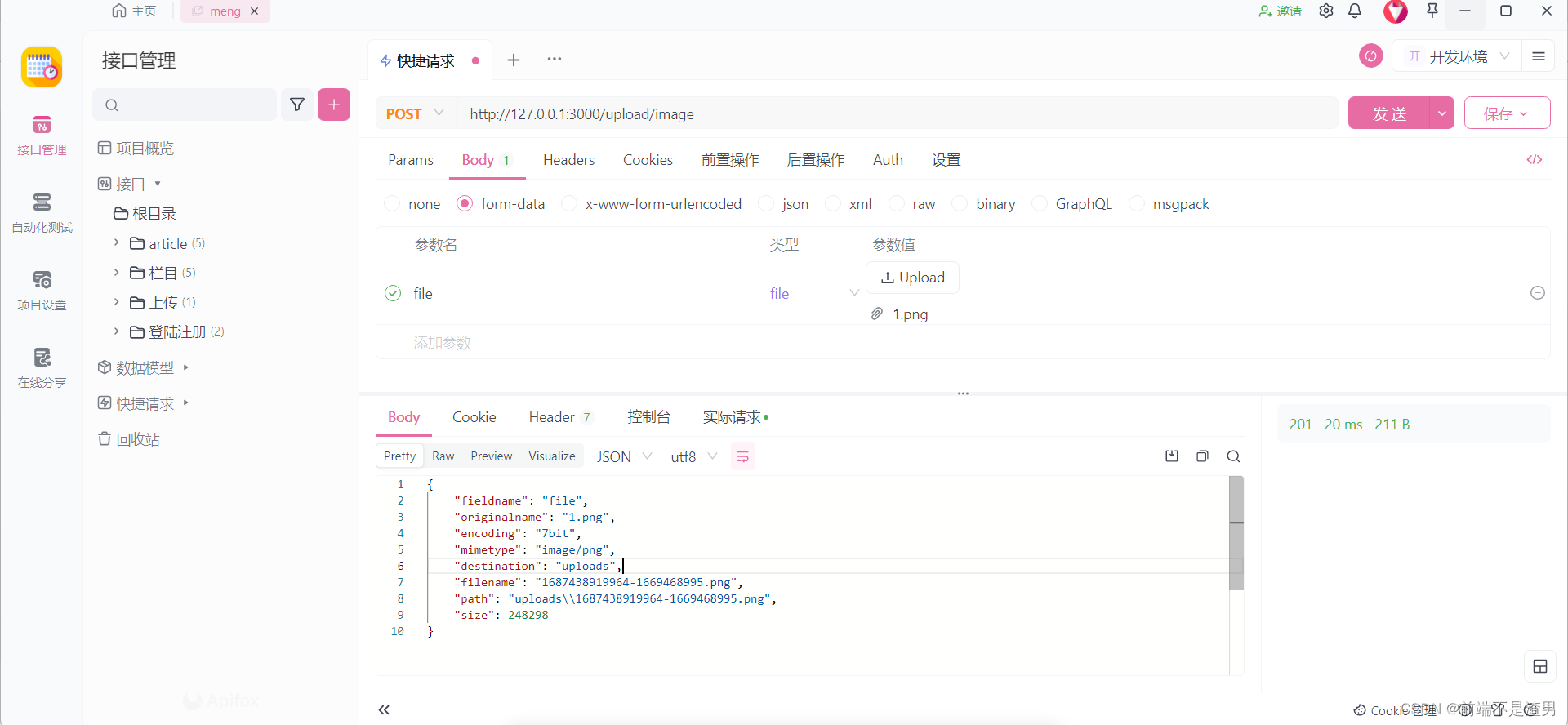 一文带你弄懂nest.js文件上传_nestjs 文件上传-CSDN博客
