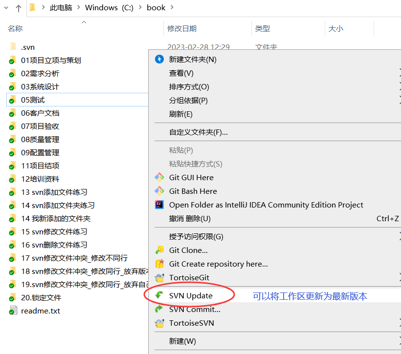 SVN快速入门-CSDN博客