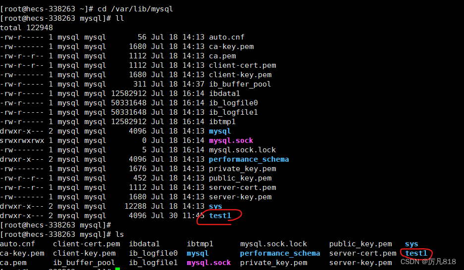 Day25:MySQL认识(linux环境)-CSDN博客