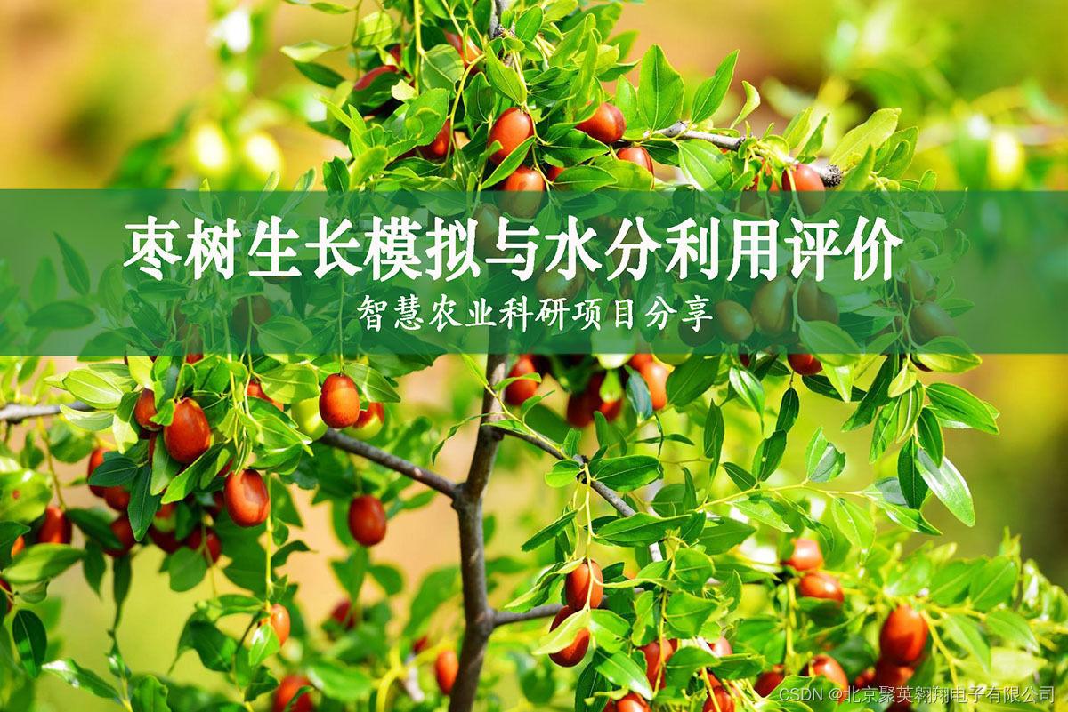 基于校正WOFOST模型的枣树生长模拟与水分利用评价-CSDN博客