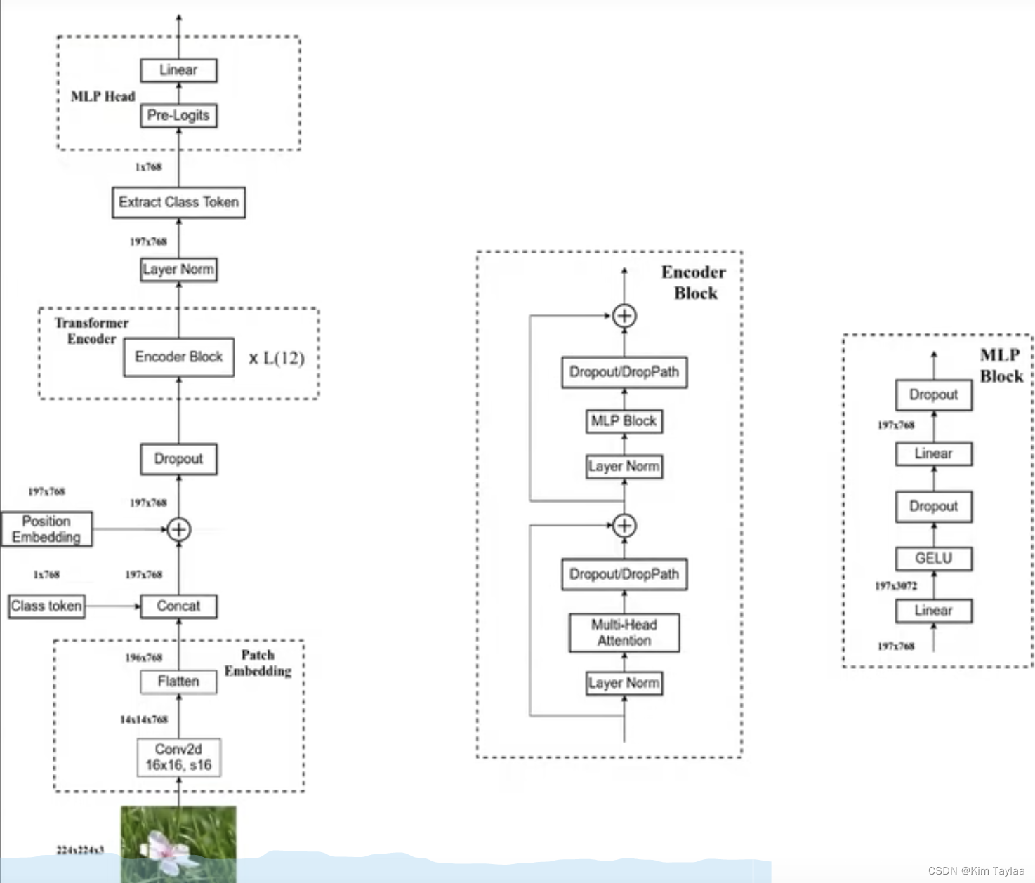 第6周学习：Vision Transformer ；Swin Transformer；ConvNeXt_swin transformer convnext-CSDN博客