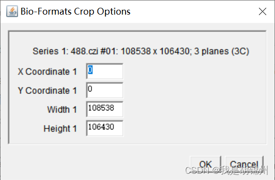 ImageJ批量切割大型.CZI格式图片_imagej裁剪图片-CSDN博客