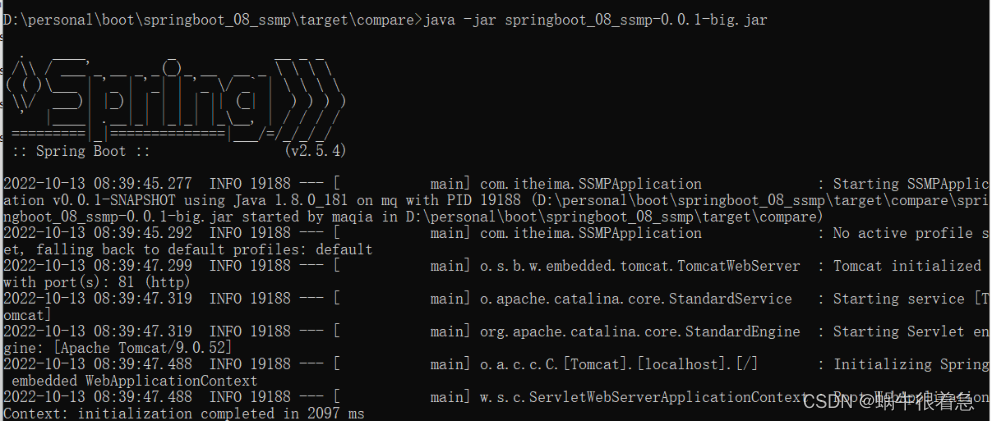 springboot项目打包与部署_springboot打tar包部署-CSDN博客