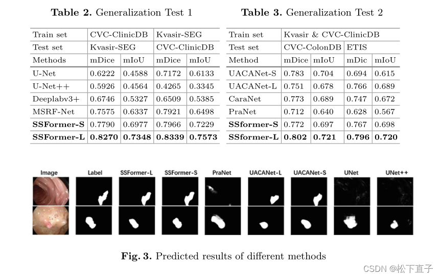 Stepwise Feature Fusion: Local Guides Global_ssformer-CSDN博客