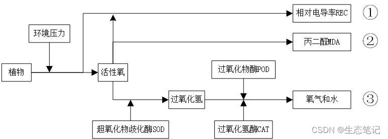 植物生理指标_sod pod cat之间的关系-CSDN博客