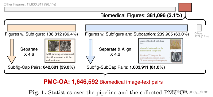 【论文阅读】PMC-CLIP:使用生物医学文档的对比语言图像预训练-CSDN博客