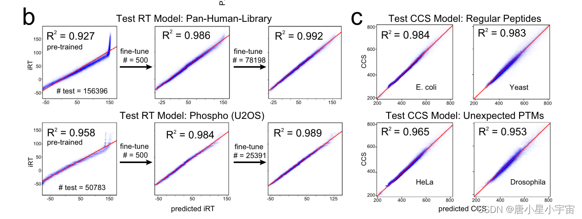 AlphaPeptDeep：用于预测蛋白质组学肽特性的模块化深度学习框架-CSDN博客