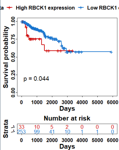 选择最适cut-off值的原因及X-tile的使用-CSDN博客