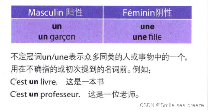 你好法语A1语法单元汇总（unité 1）_delf a1法语语法有多少、-CSDN博客